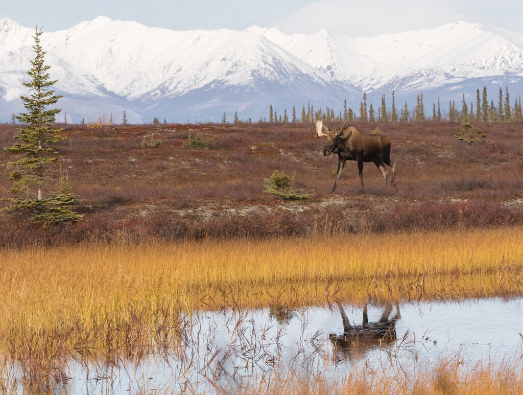 Hunters & Anglers for the Brooks Range