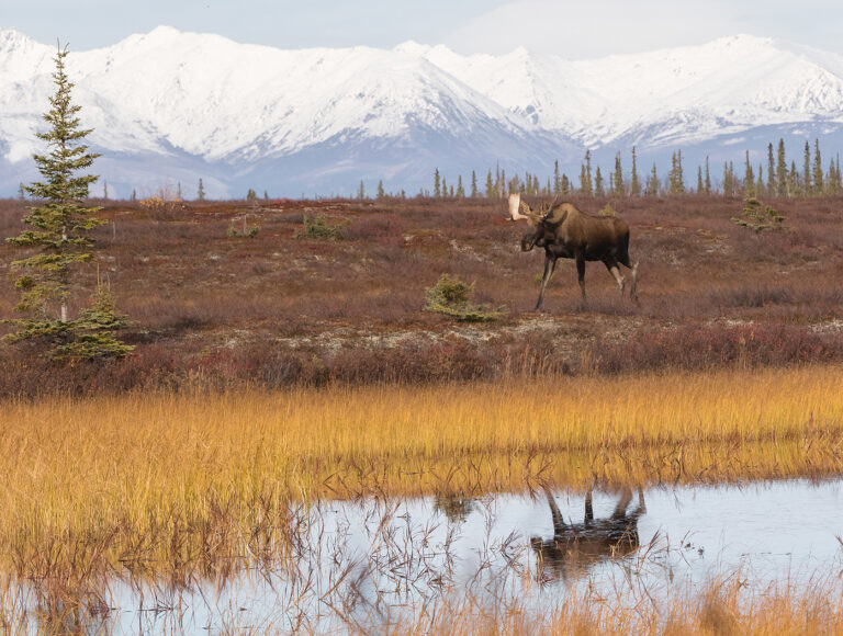 Hunters & Anglers for the Brooks Range