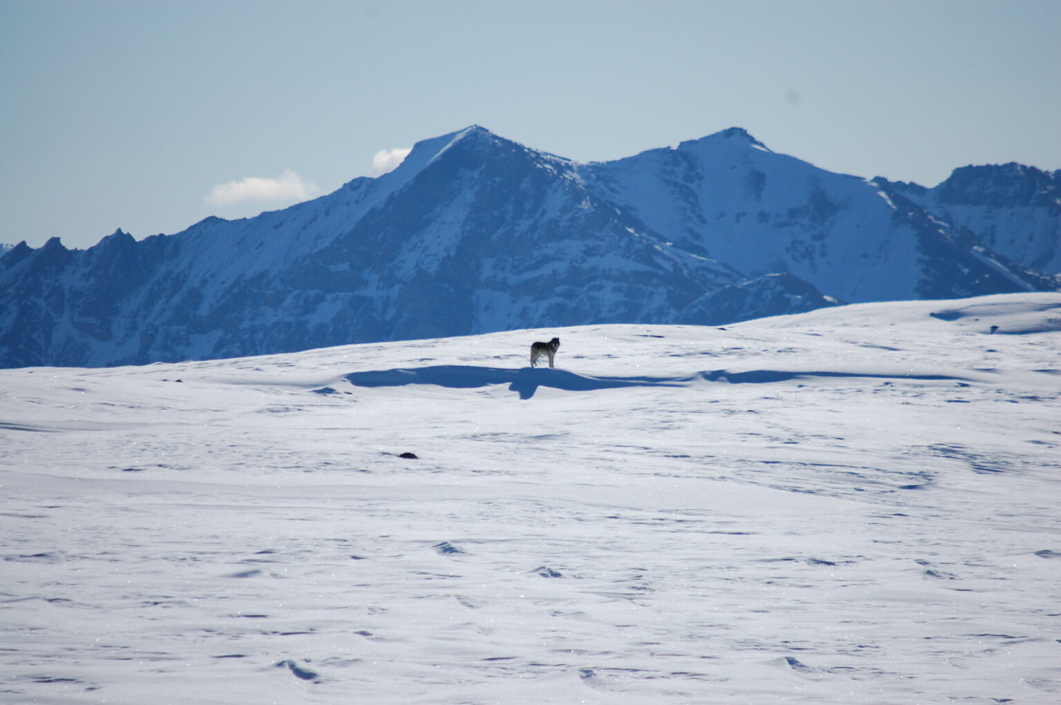 What It’s Really Like to Hunt the Brooks Range - Hunters & Anglers for ...